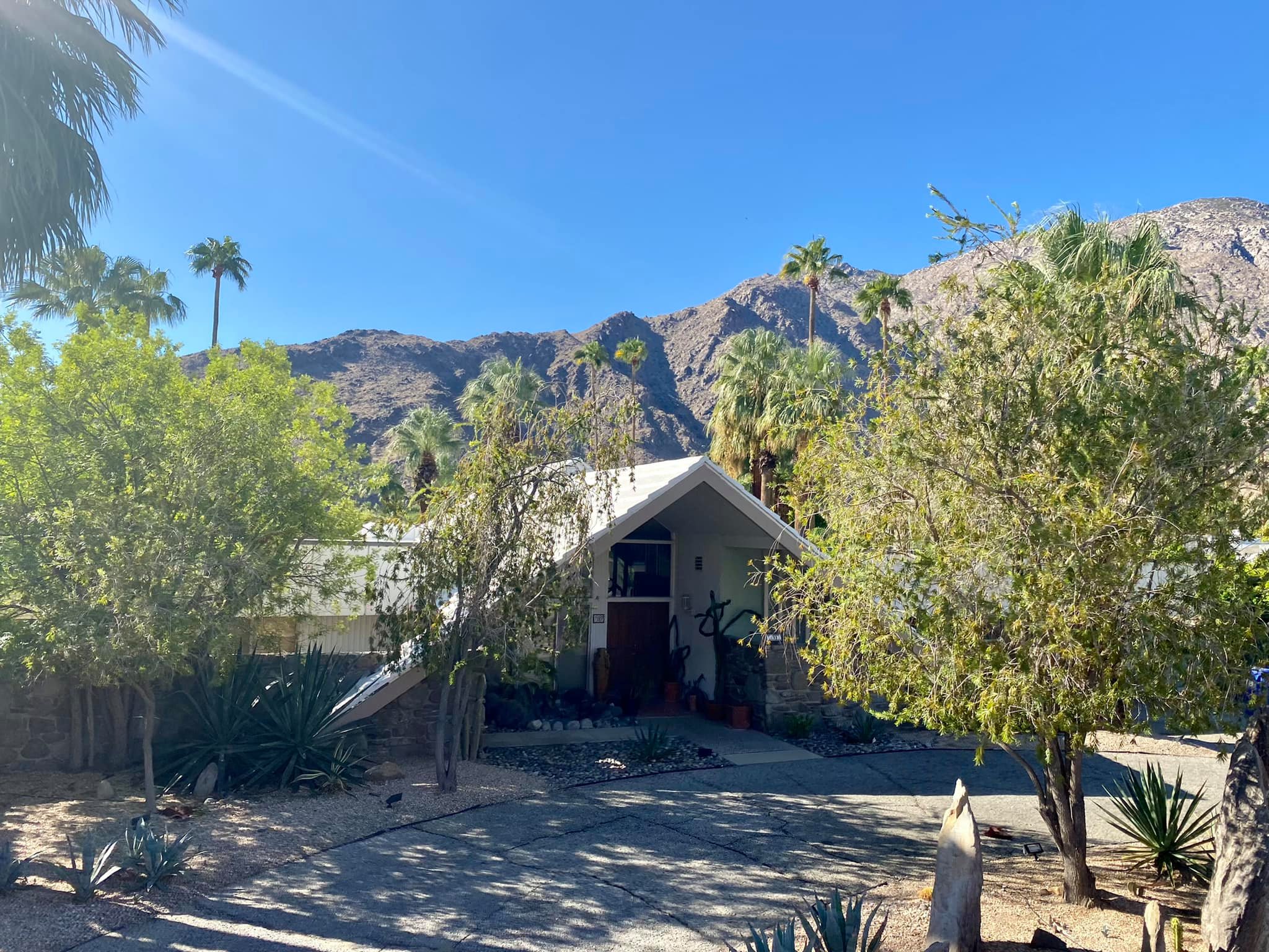 Palm Springs Modernism is nonstop design inspiration